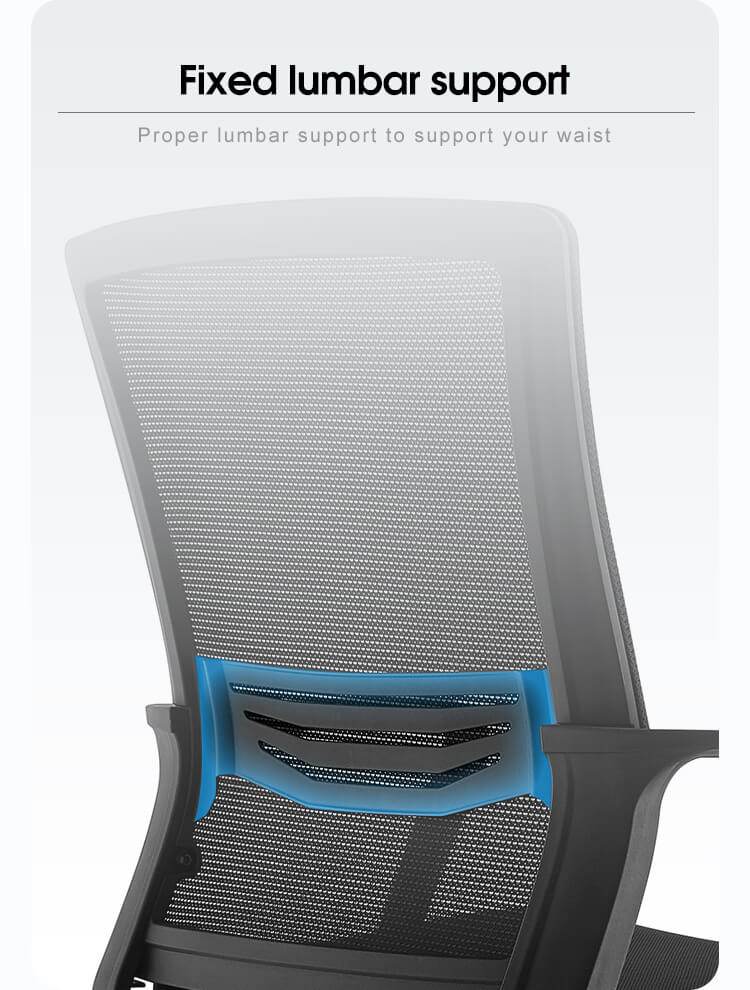 ZCHAIR ZEMa-M – Zessentials